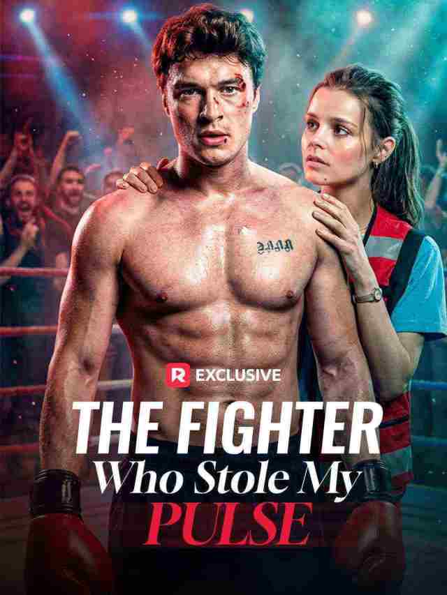 the fighter who stole my purse Movies - ReelShort